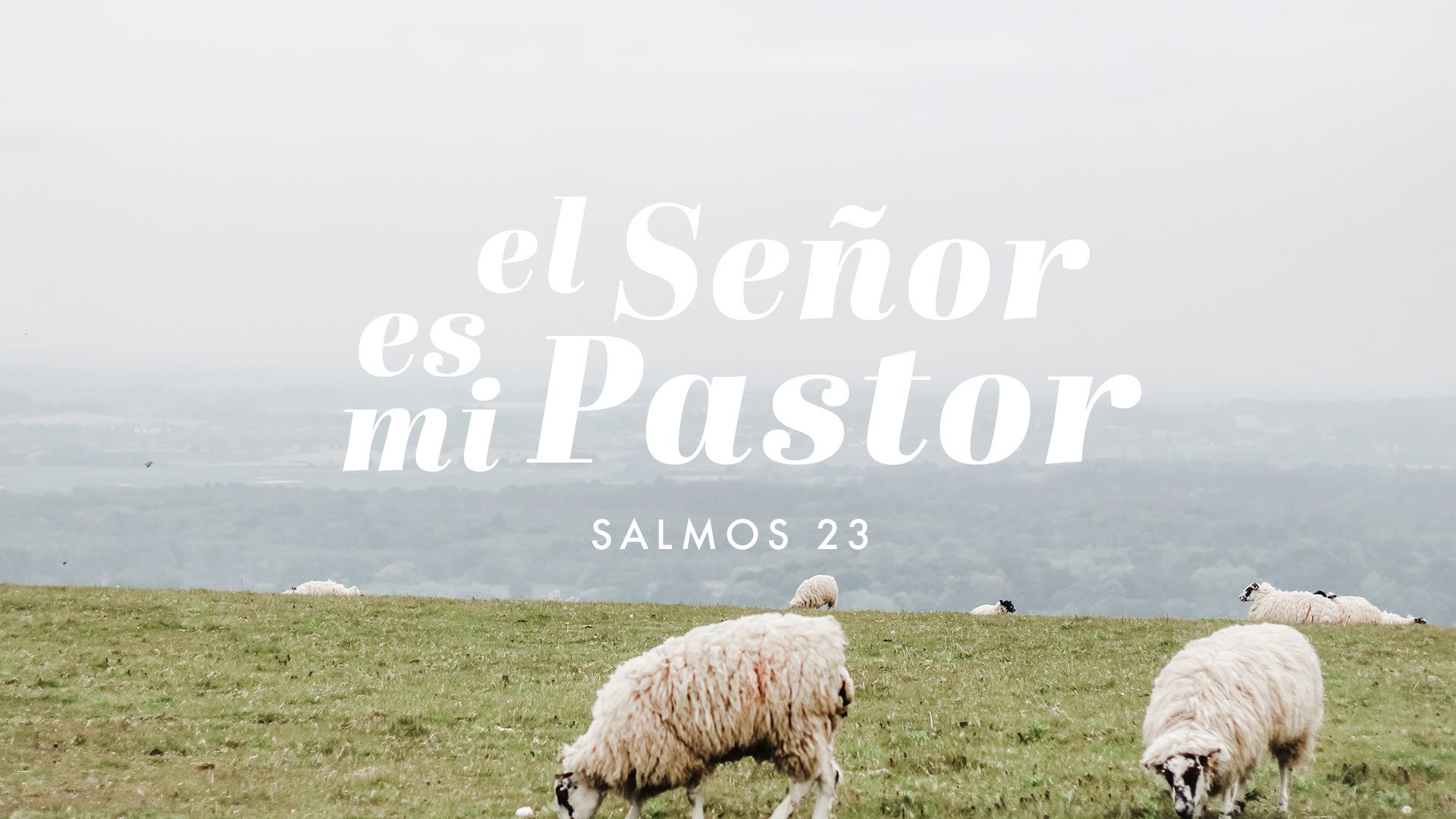 El Salmo Que Destaca A Los Líderes Virtuosos: Una Guía Para El ...